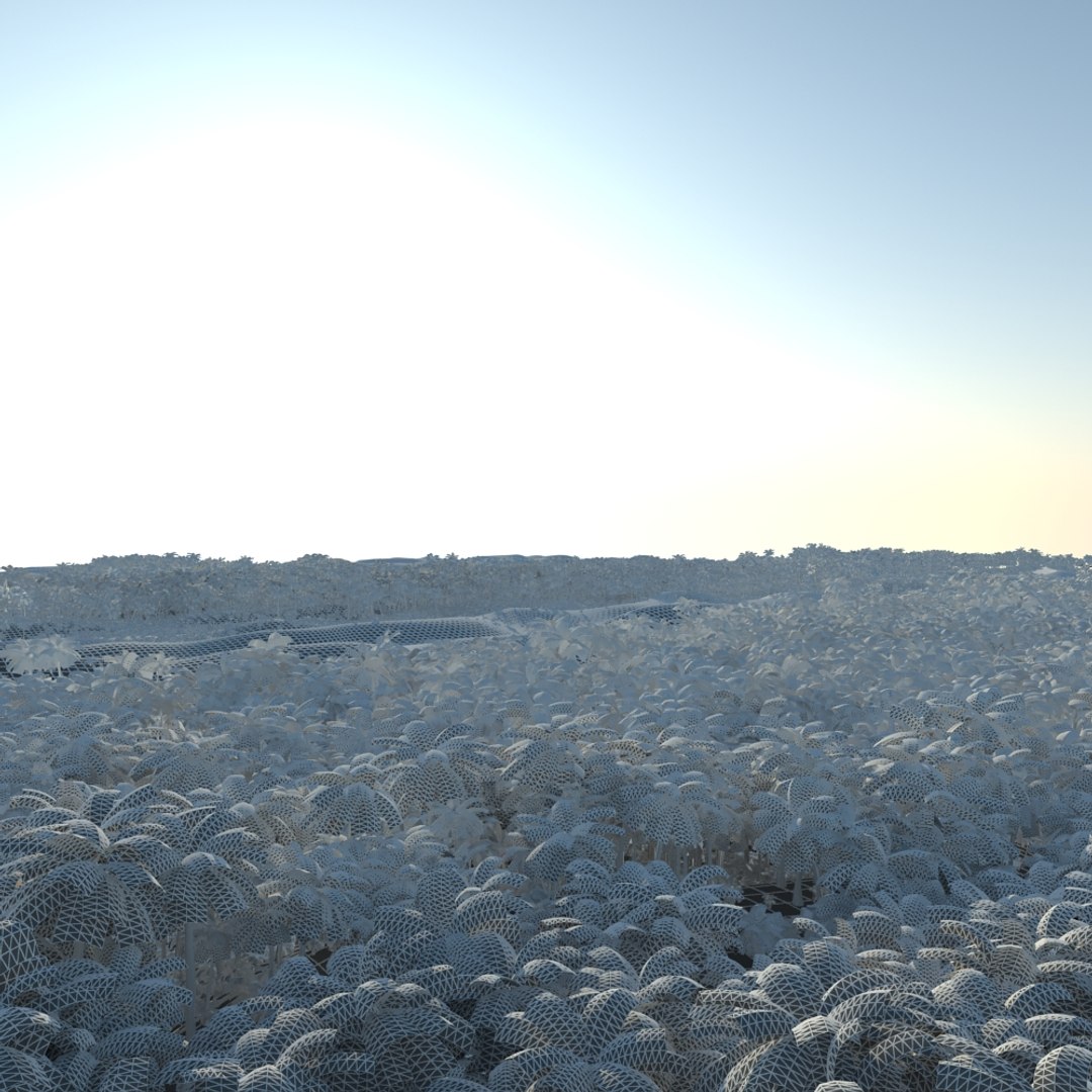 3d Desert Terrain Landscape