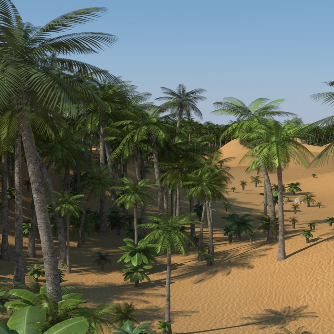 3d Desert Terrain Landscape