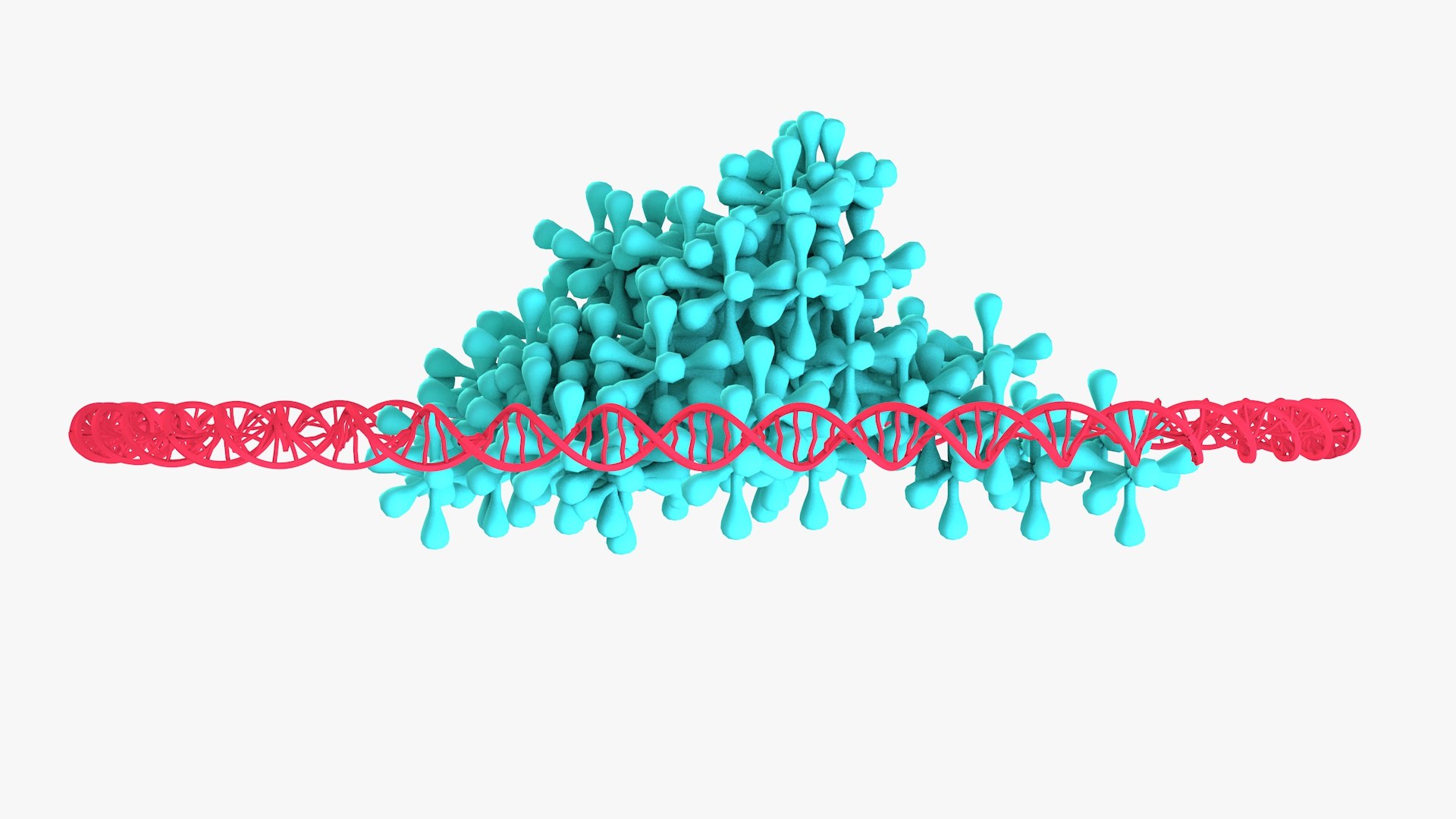 Spike Protein 3D Model - TurboSquid 2108914