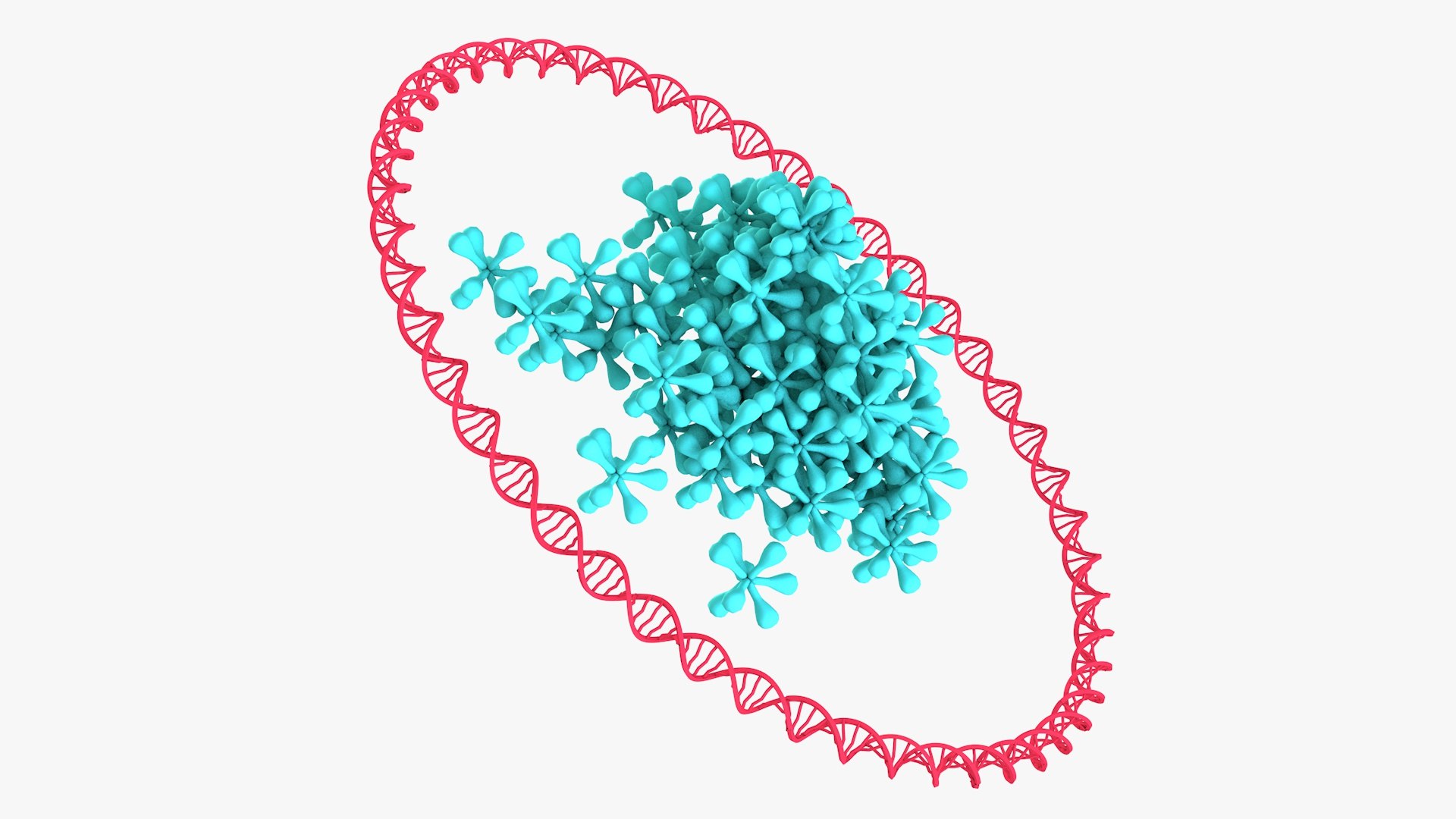 Spike Protein 3D Model - TurboSquid 2108914