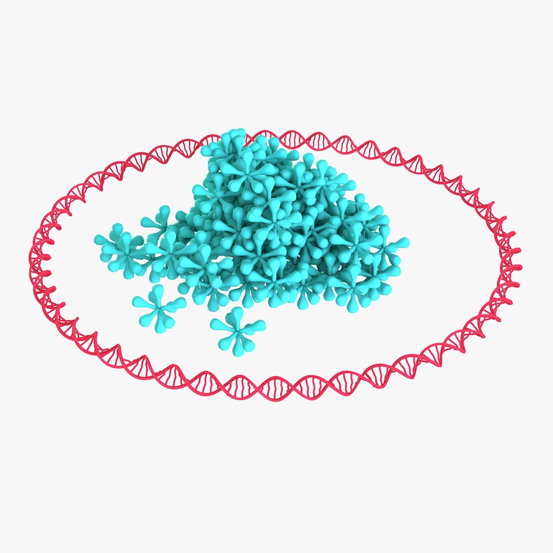 Spike protein 3D model - TurboSquid 2108914