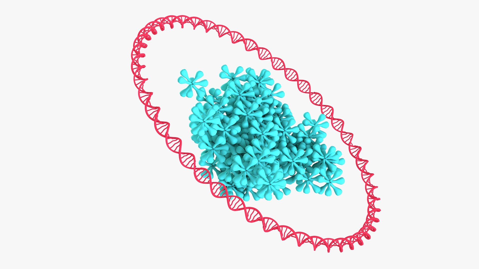 Spike Protein 3D Model - TurboSquid 2108914