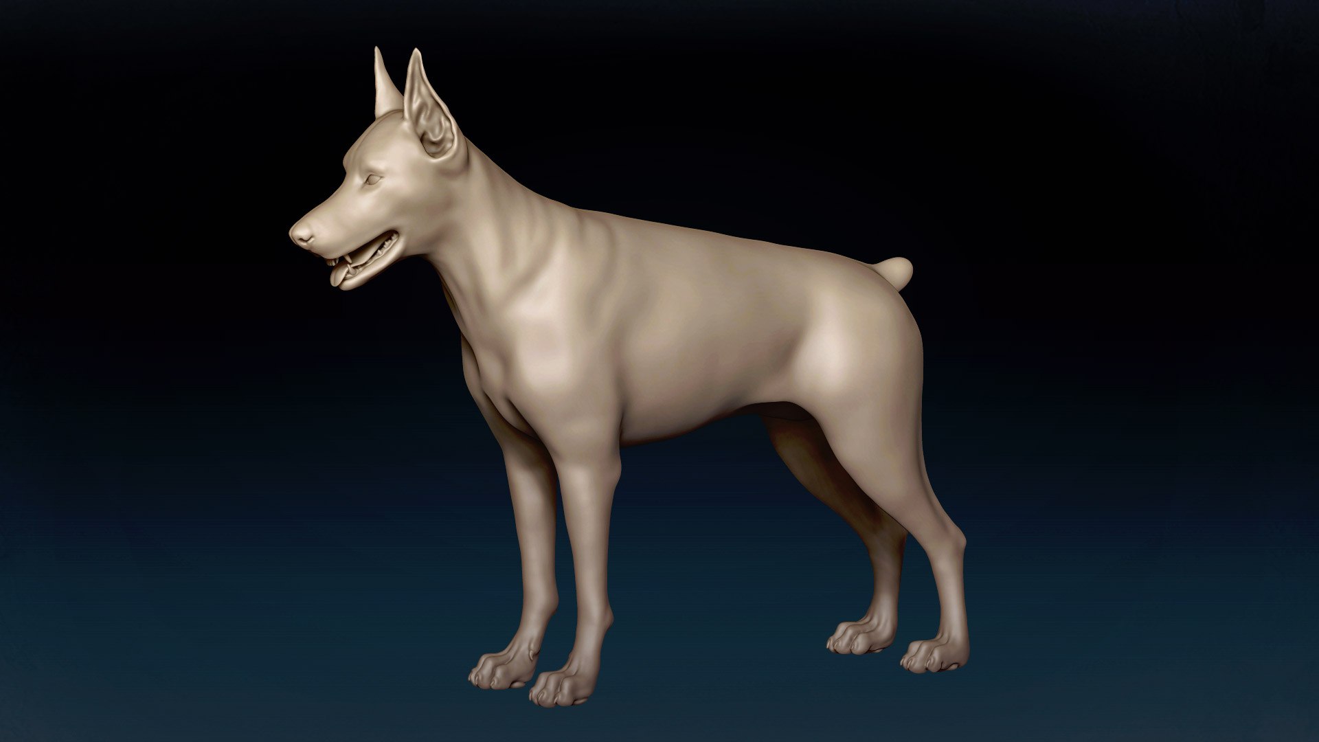 3D Doberman Base Mesh 3D Model - TurboSquid 1863569