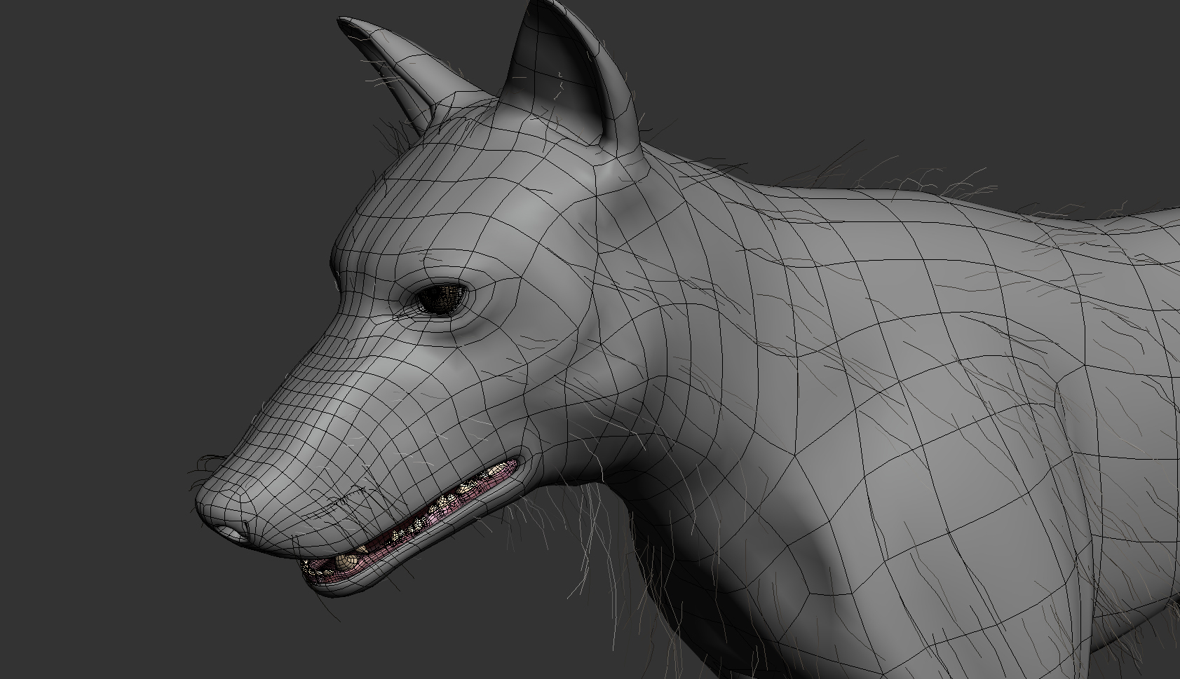 3d wolf fur