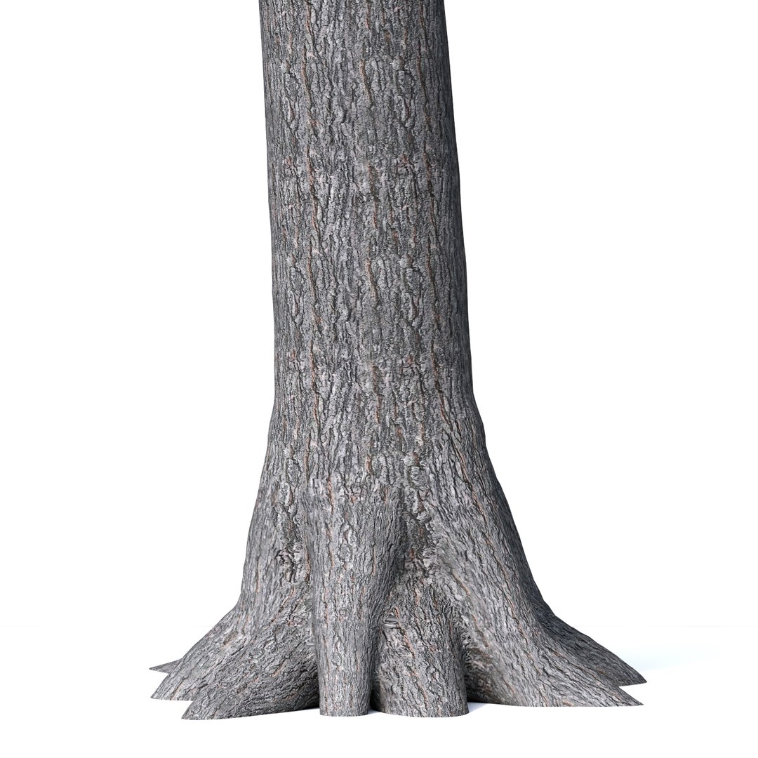 Realistic Tree Leaves 3D - TurboSquid 1304394