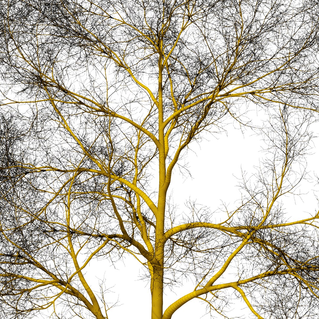 Realistic Tree Leaves 3D - TurboSquid 1304394