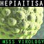 hepatitis virus 3d max