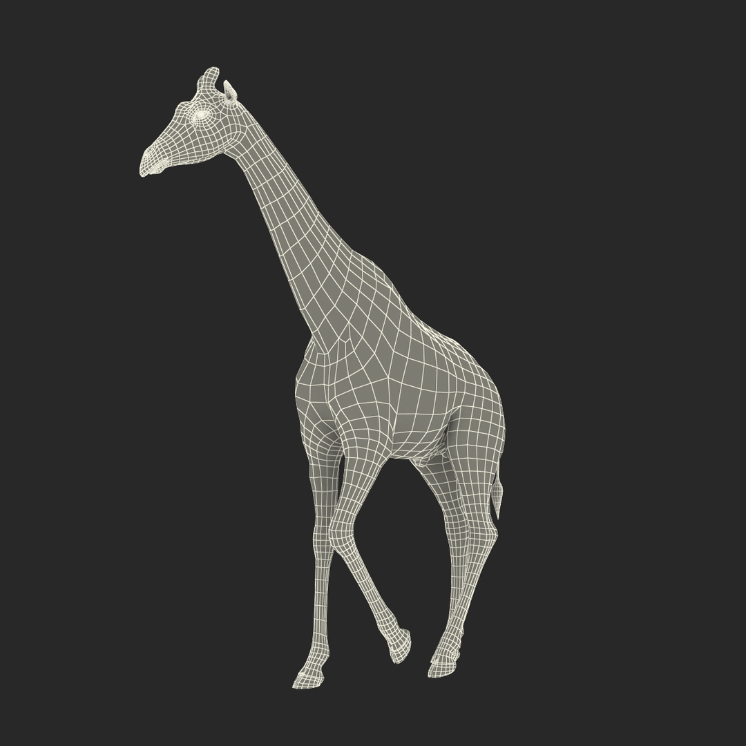 African giraffe walking pose 3D - TurboSquid 1402541