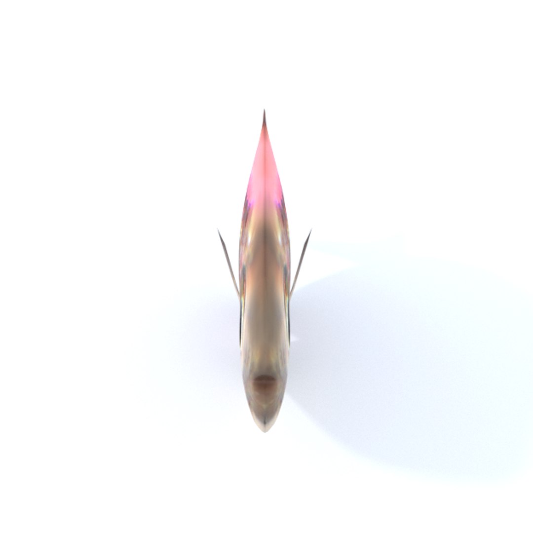 3D Model Crystal Catfish - TurboSquid 1319845