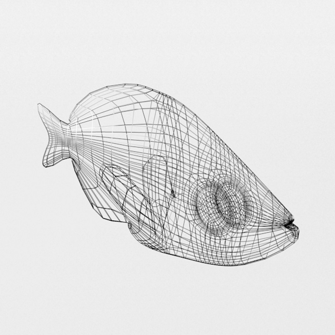 3D Model Crystal Catfish - TurboSquid 1319845