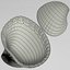 3d ark cockle seashell