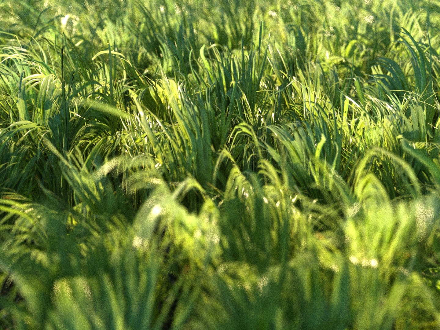 Grass Pack 50 3D - TurboSquid 1398655