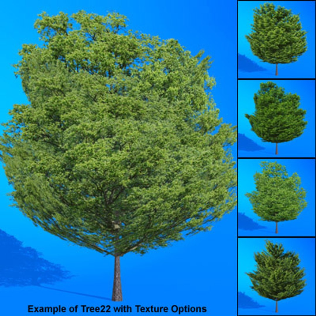Trees Bark Architectural 3d Model