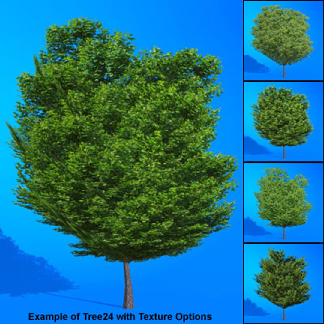 Trees Bark Architectural 3d Model