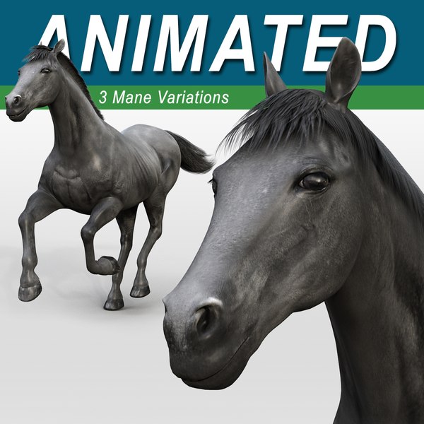 Animated Horse 3D Models for Download | TurboSquid
