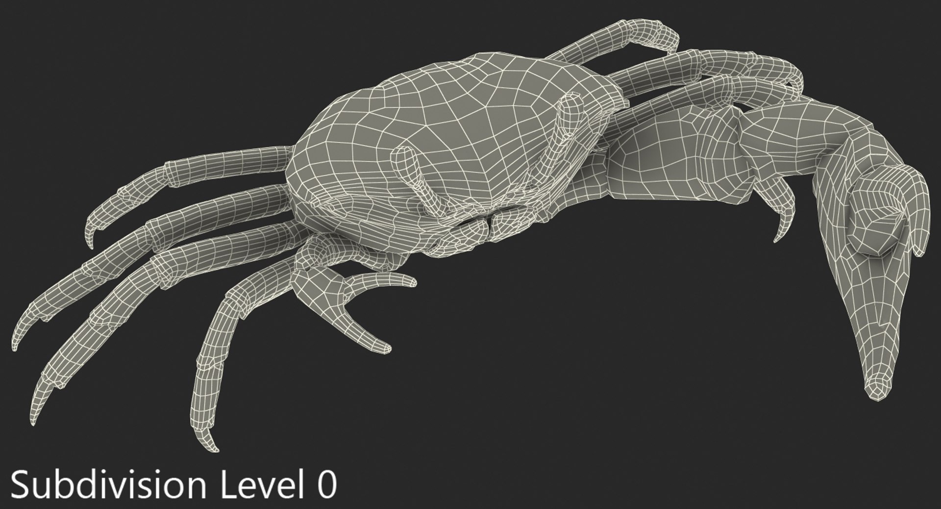 Fiddler Crab Fighting Pose 3d Max