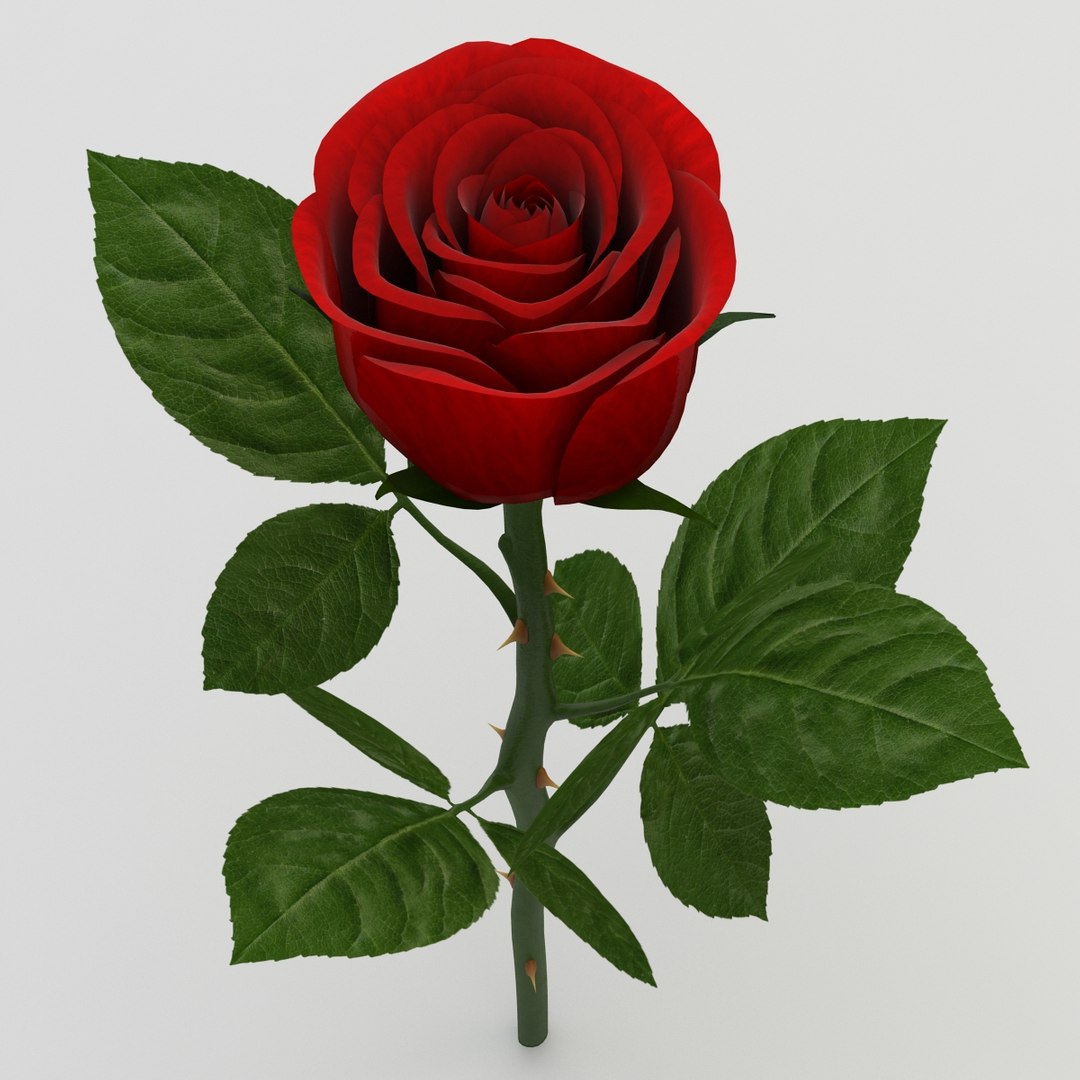 3d Rose Branch Red 02