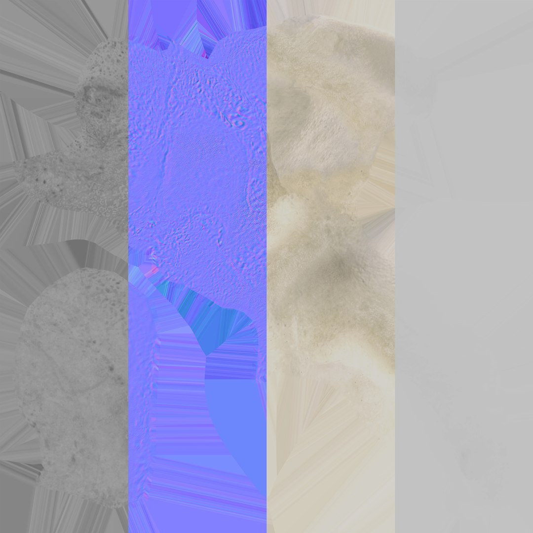 Domestic Cat Talus Bone 01 3D - TurboSquid 1828003