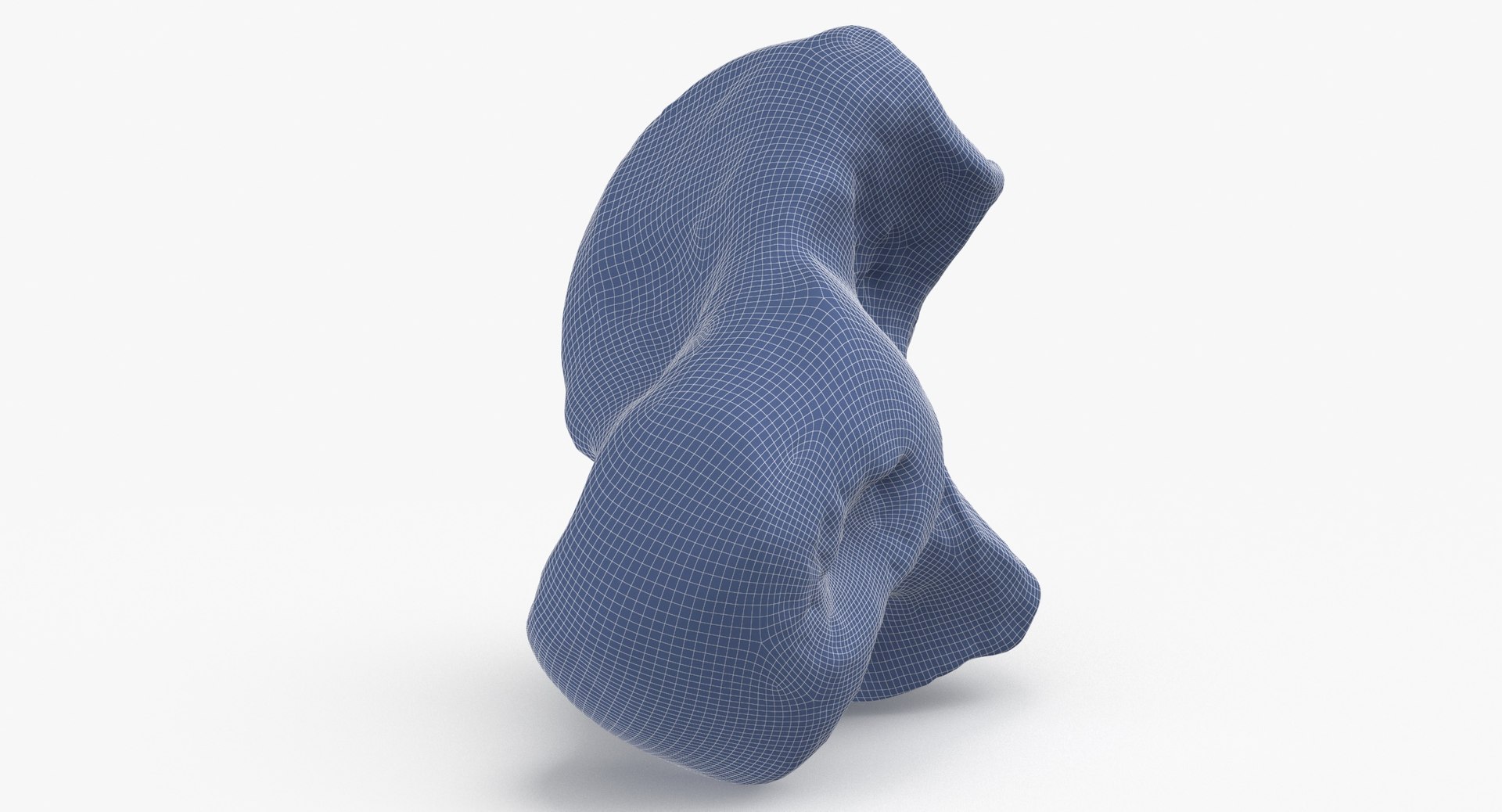 Domestic Cat Talus Bone 01 3D - TurboSquid 1828003