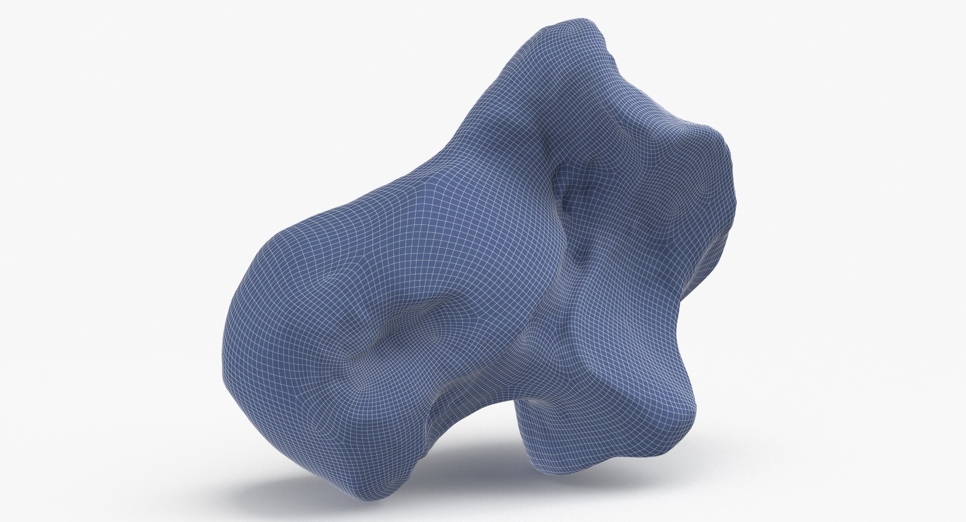 Domestic Cat Talus Bone 01 3D - TurboSquid 1828003