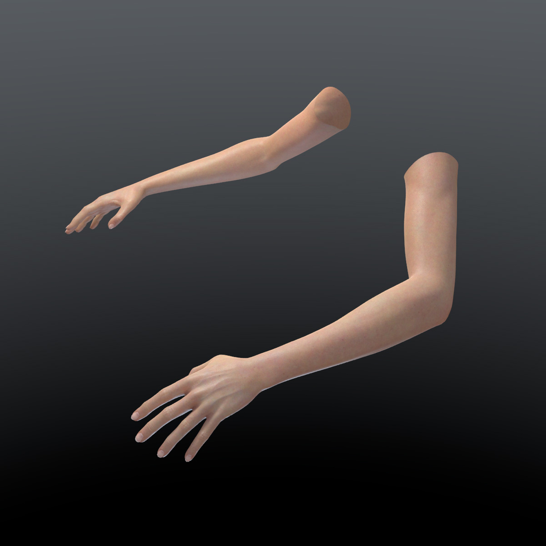 Fbx Realistic Womans Arms