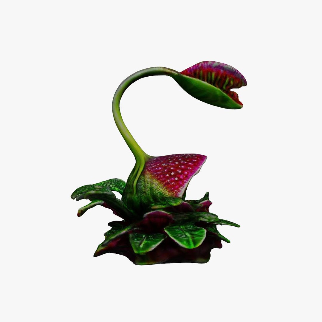 Venus Flytrap Model - TurboSquid 2278356