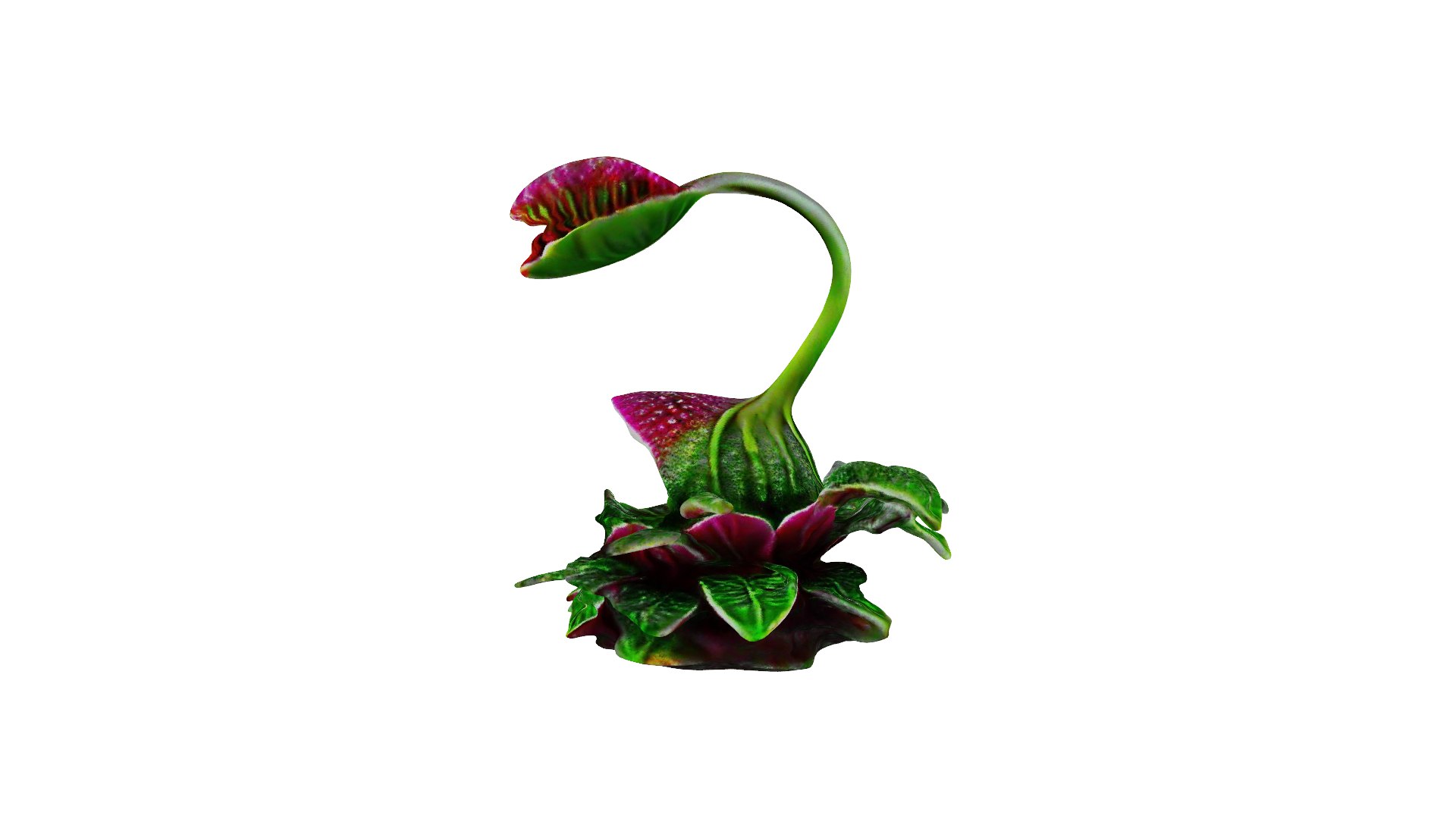 Venus Flytrap Model - TurboSquid 2278356