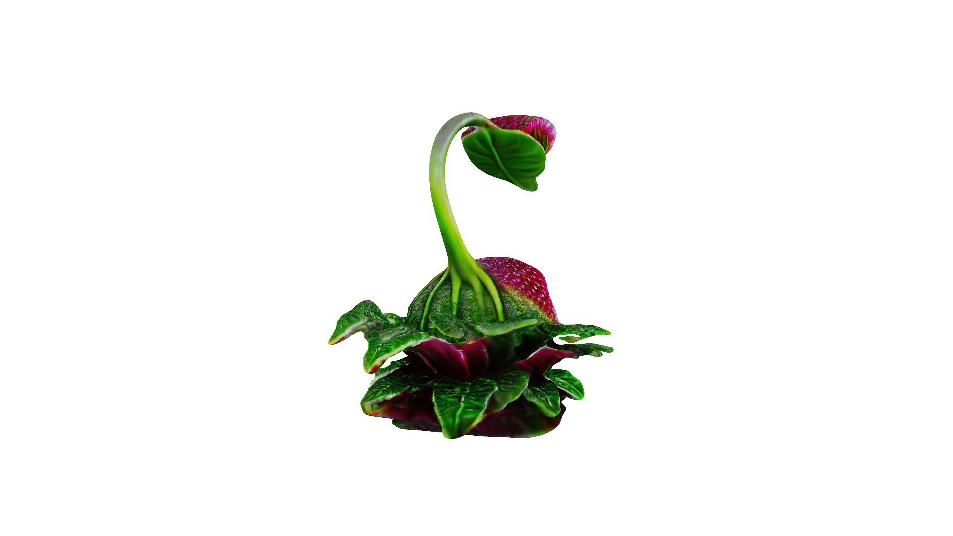 Venus Flytrap Model - TurboSquid 2278356