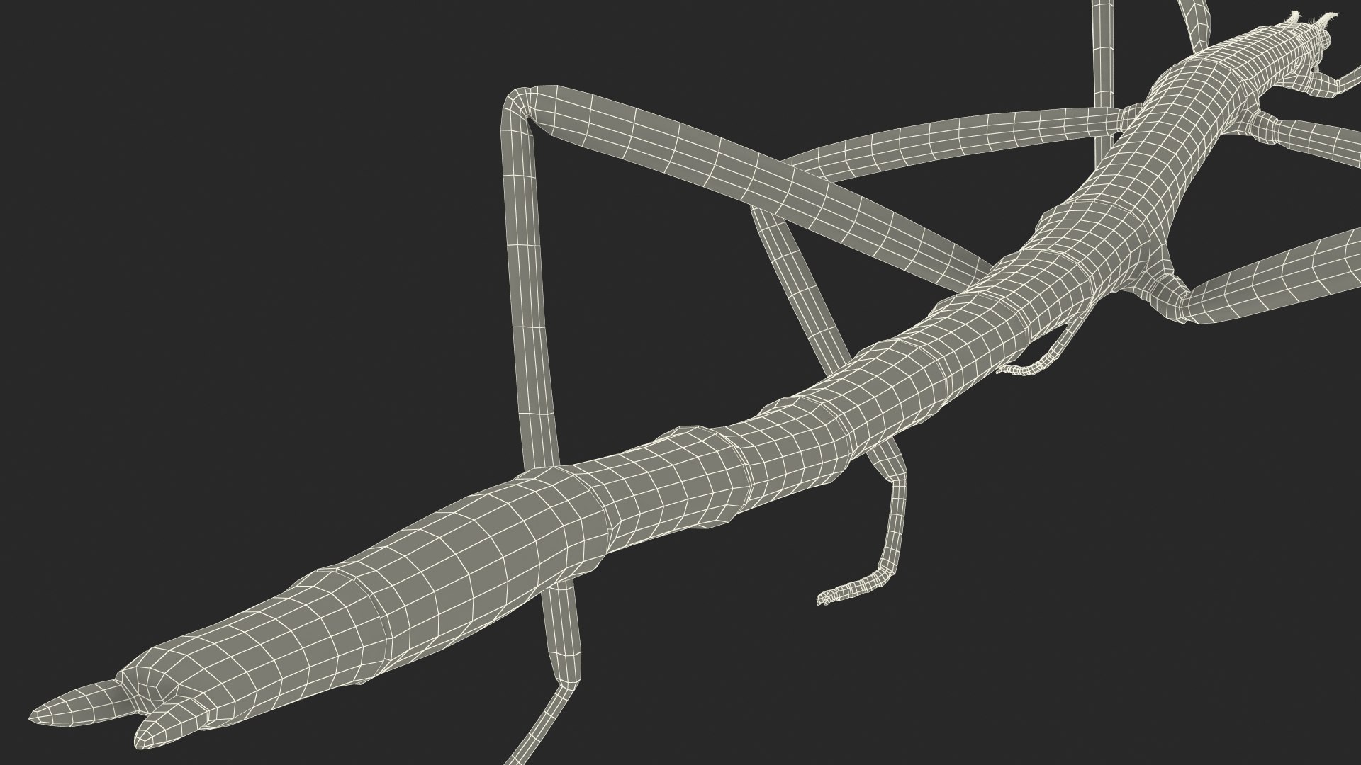 3D model stick insect green rigged - TurboSquid 1520307