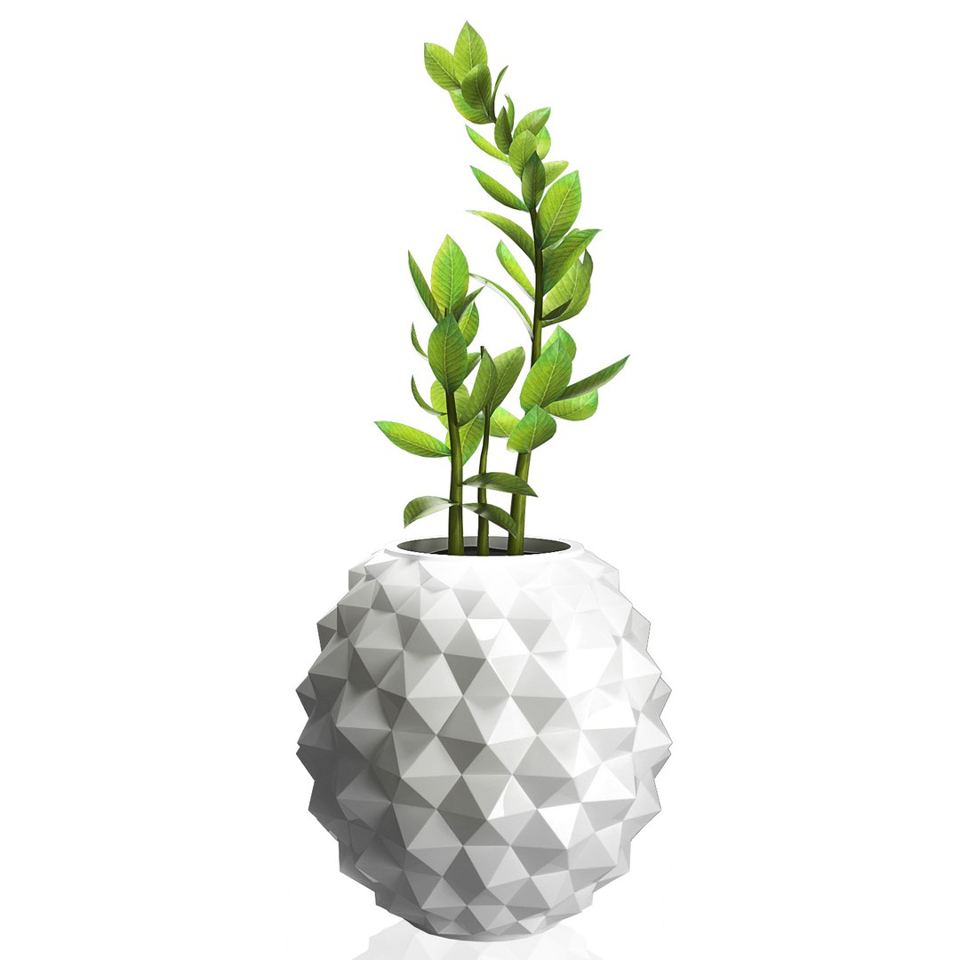 3D flower pot plant - TurboSquid 1333738