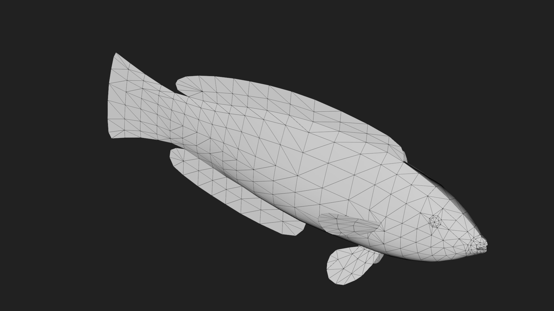 Wrasse 3D - TurboSquid 2122923