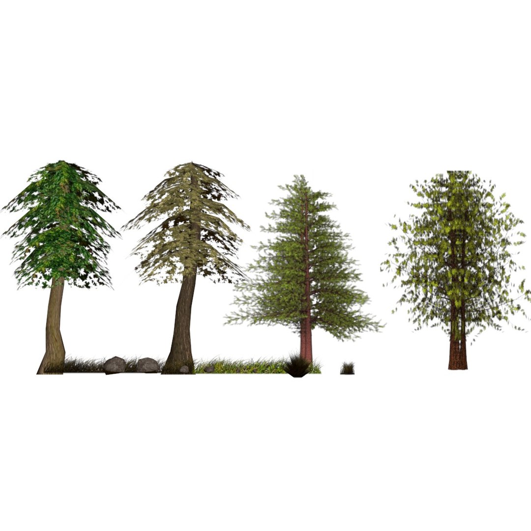 nature trees 3d model
