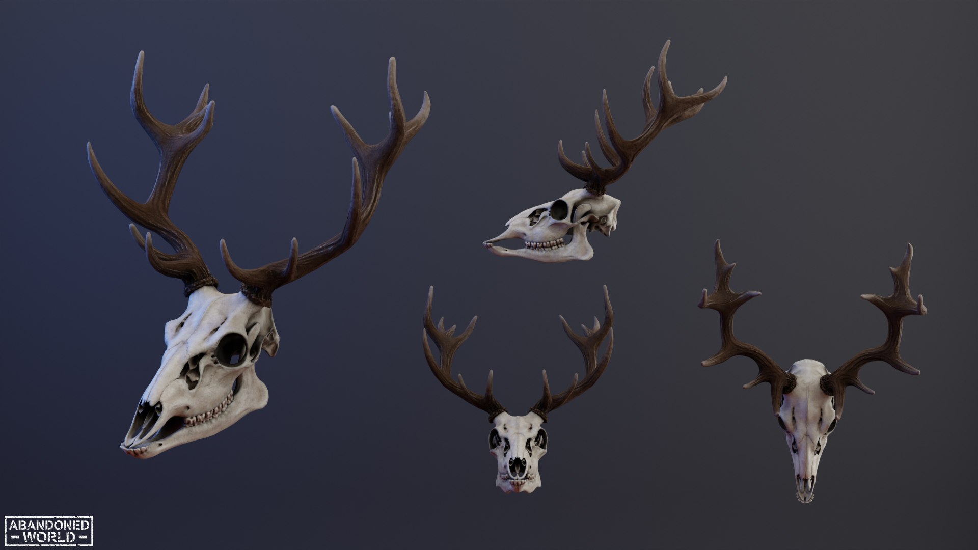 Deer Skull 3D model - TurboSquid 2176597