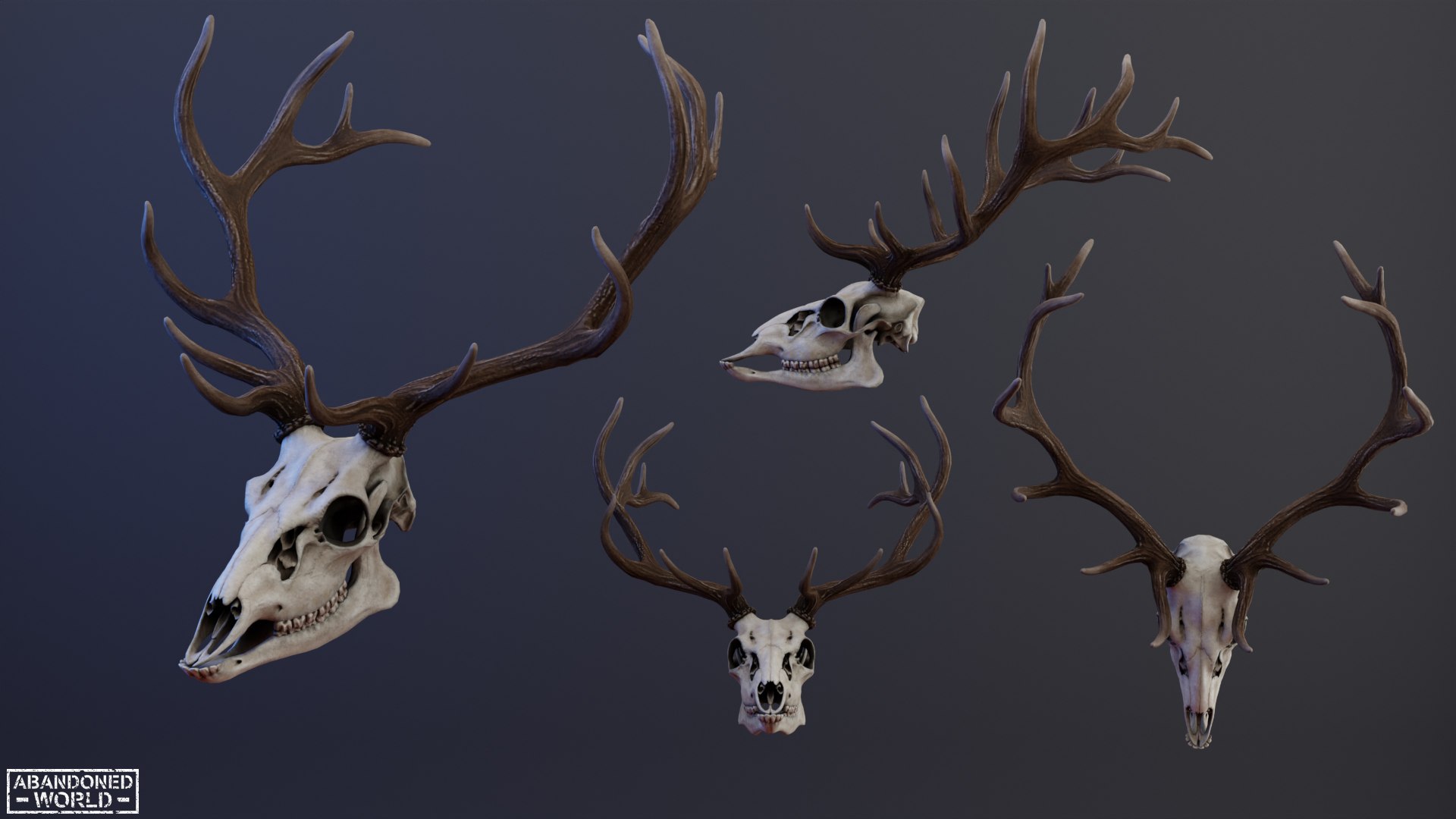 Deer Skull 3D model - TurboSquid 2176597