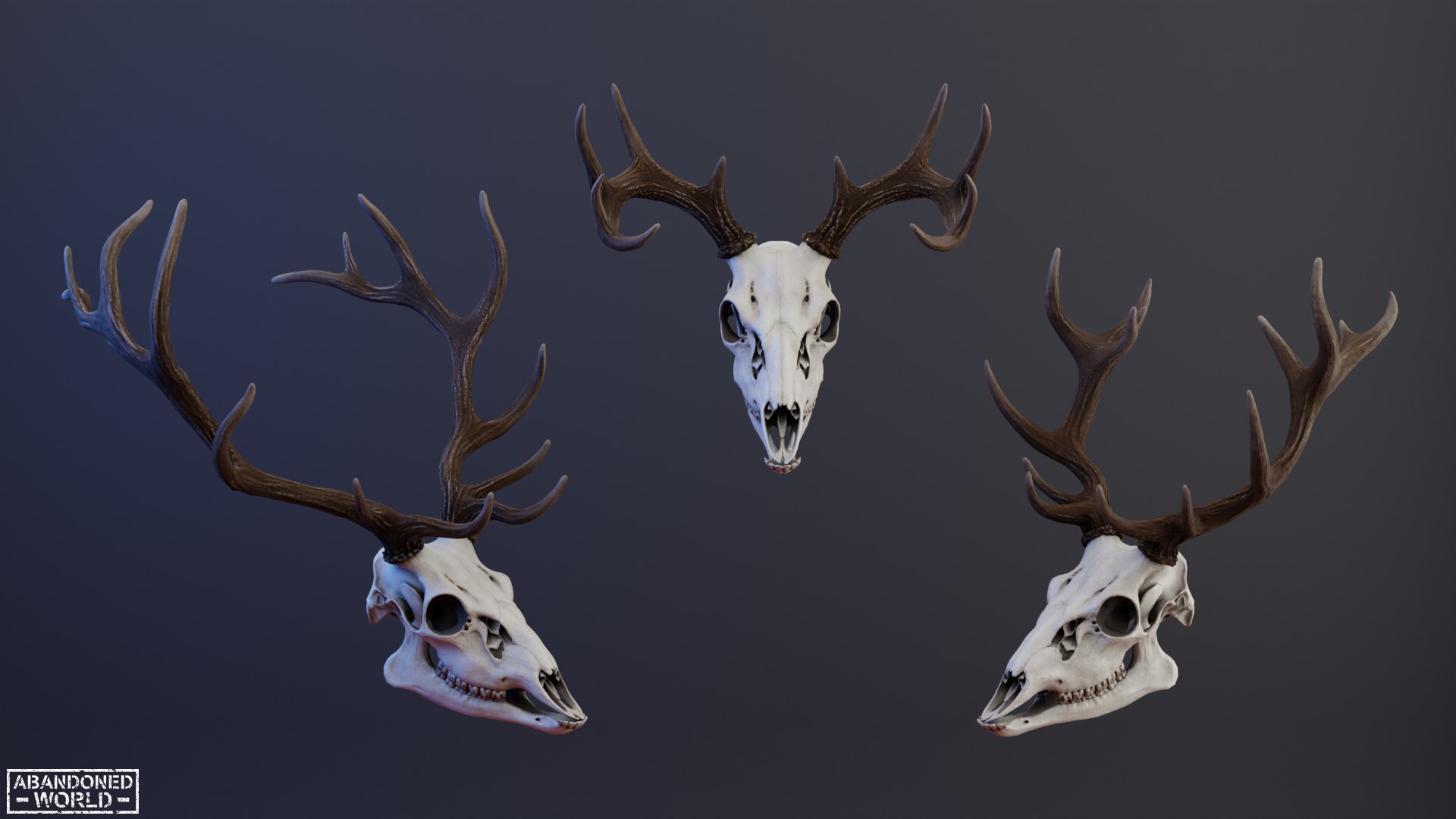Deer Skull 3D model - TurboSquid 2176597