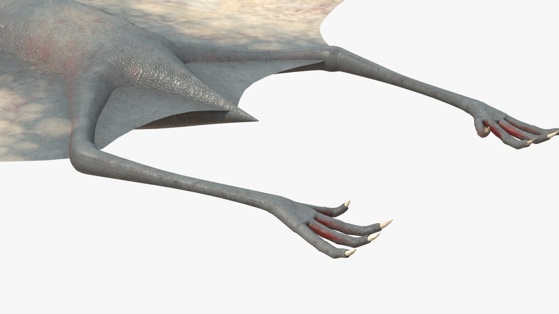 8K Realistic Pterodactyl 3D Model - TurboSquid 2074871