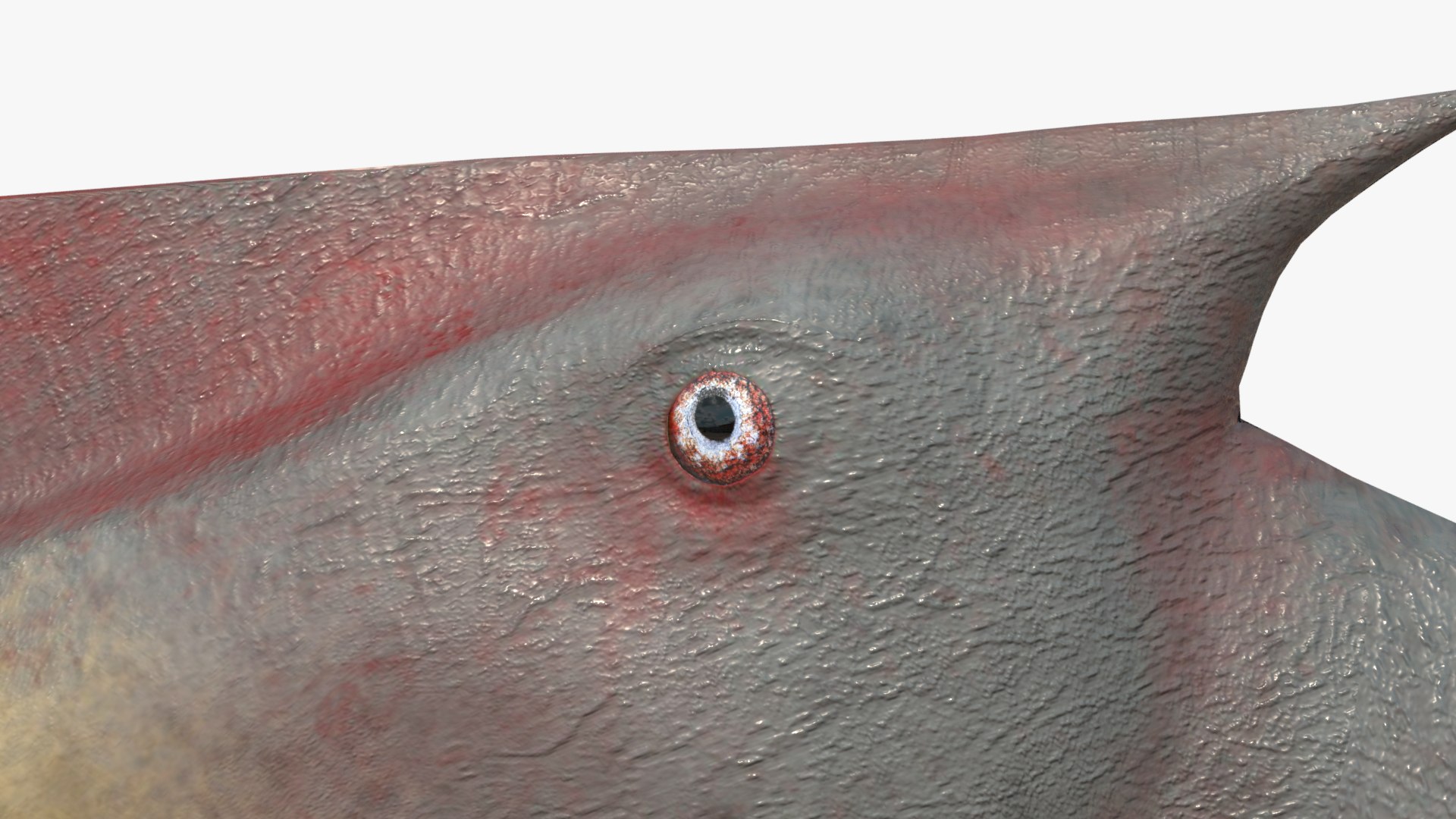 8K Realistic Pterodactyl 3D Model - TurboSquid 2074871