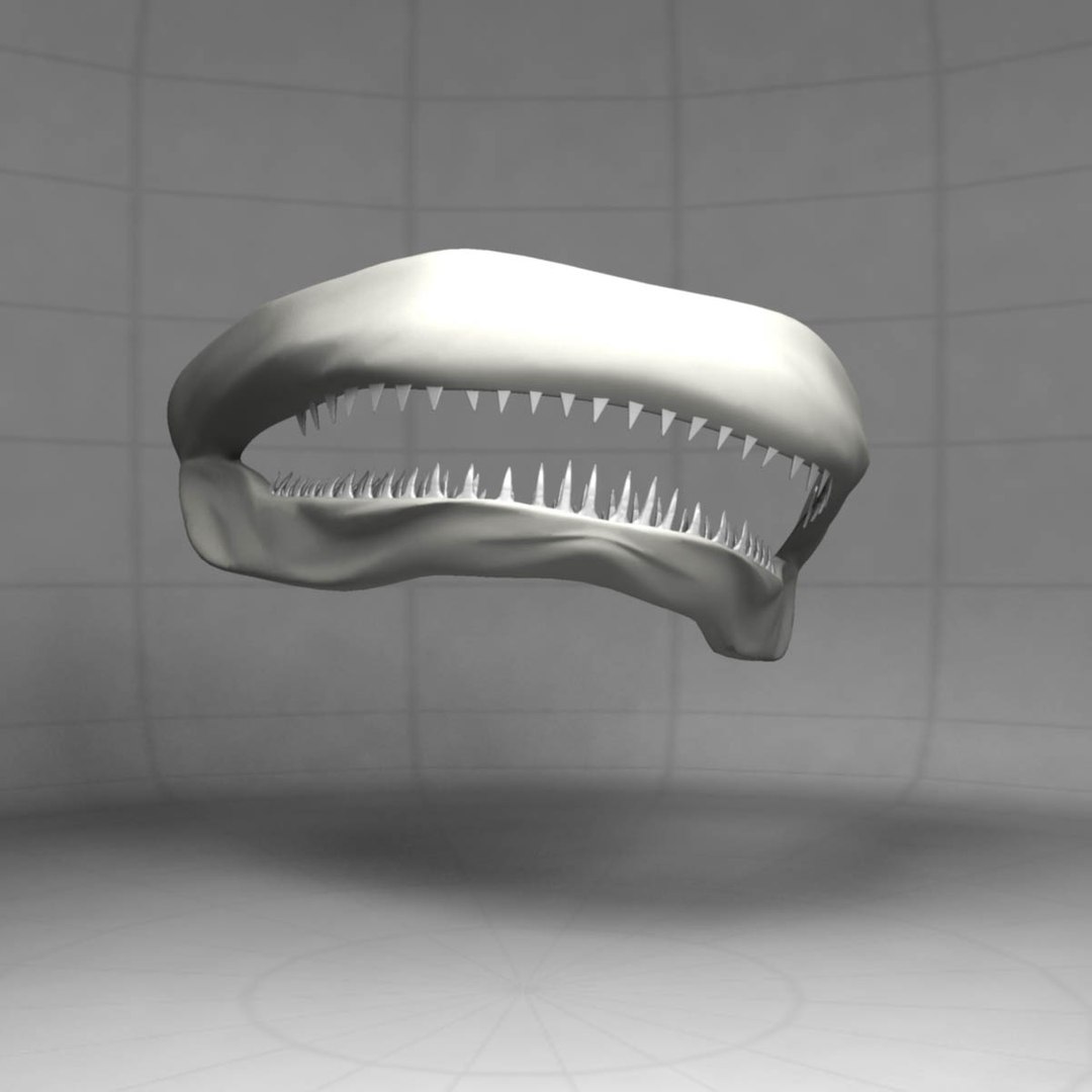 3d Model Of Lemon Shark