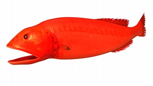 Fish 3D Models for Download | TurboSquid