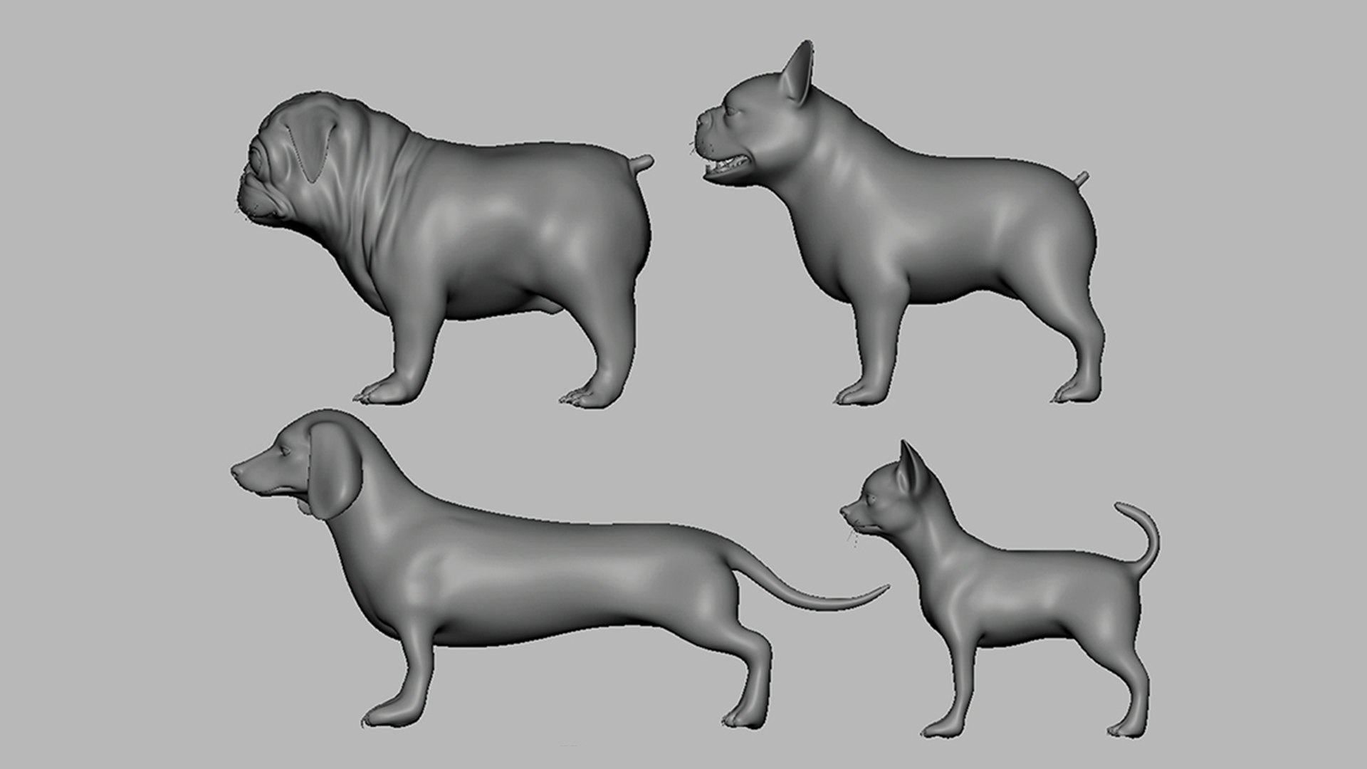 Mega Dog Basemesh 3D Model - TurboSquid 2235710