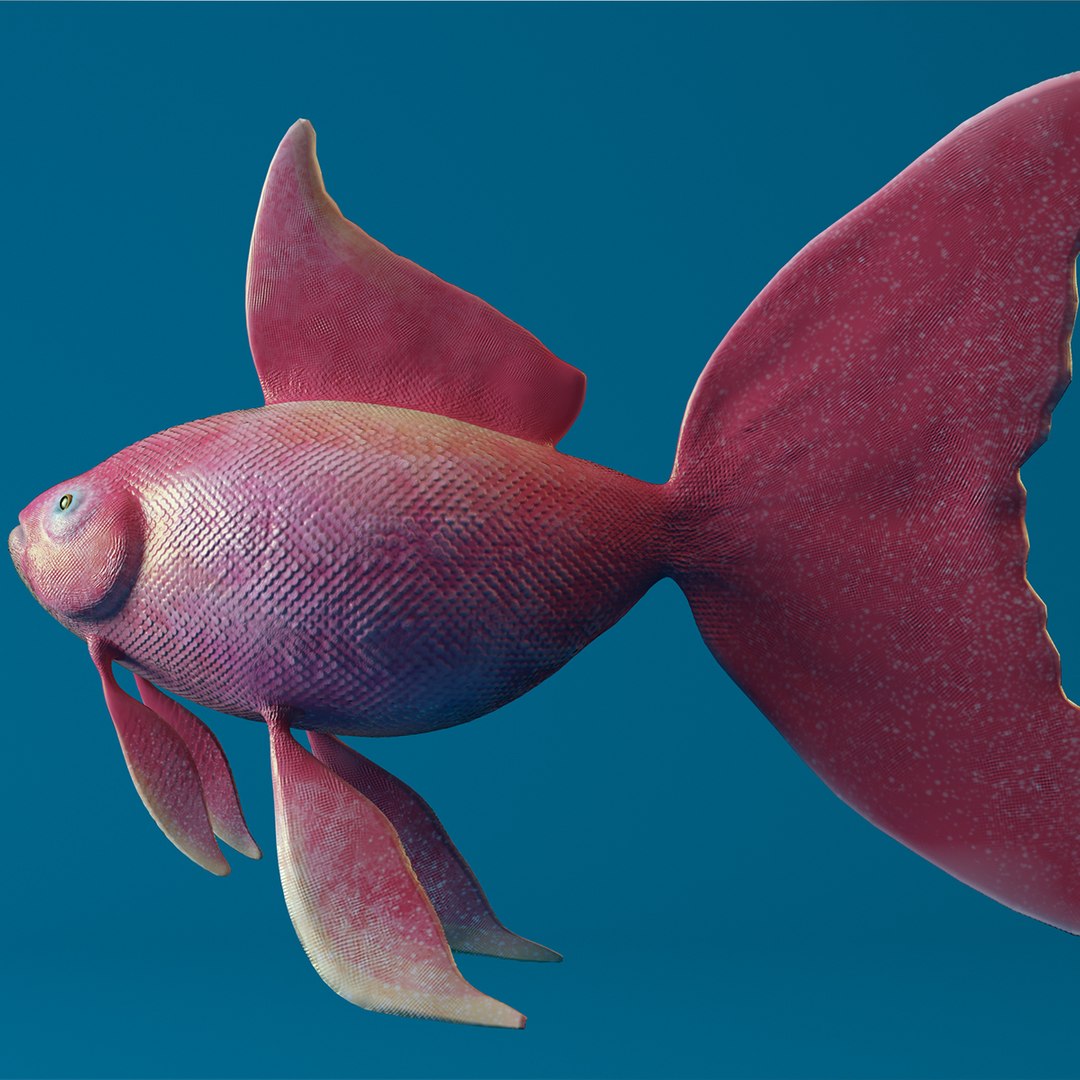 3d Model Fish