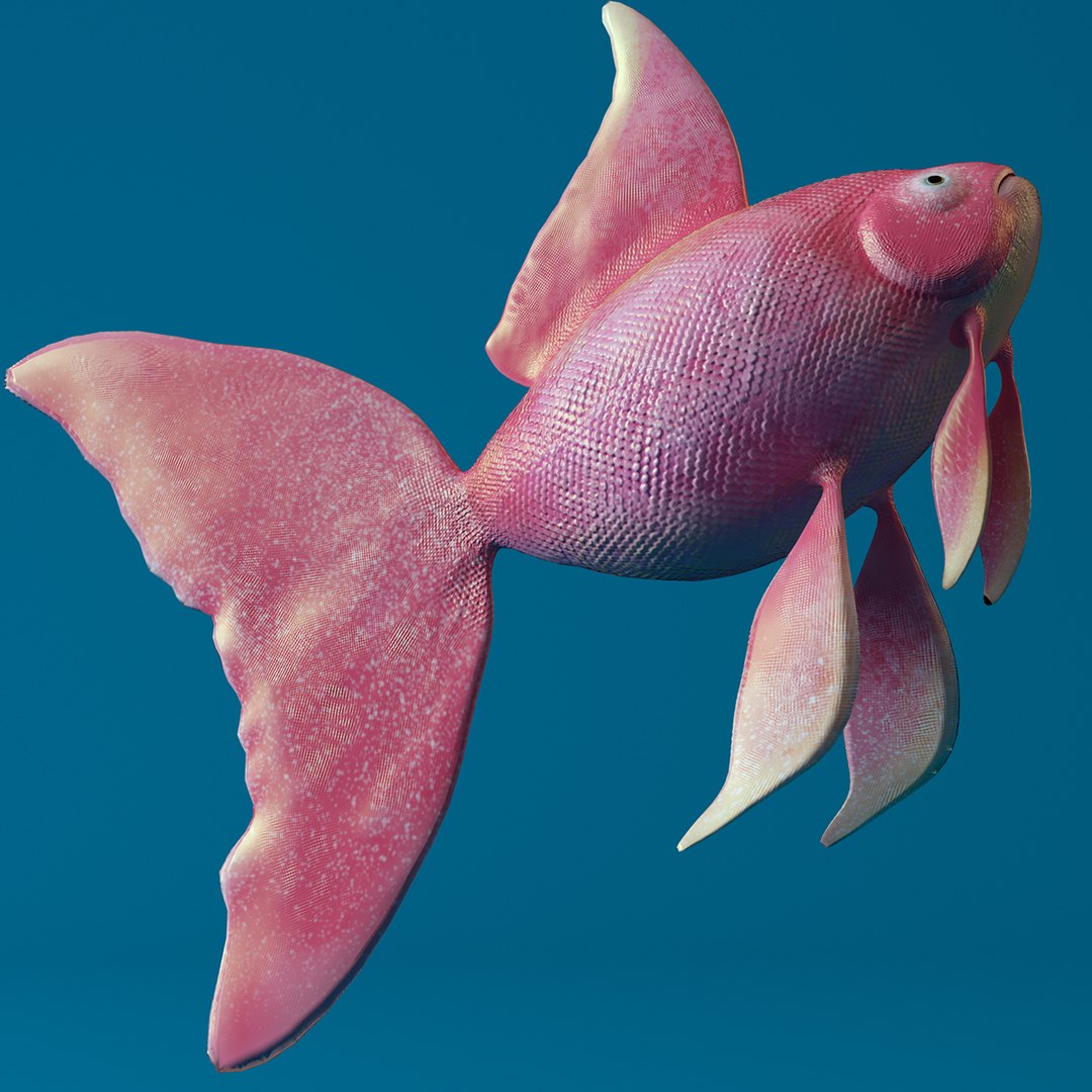 3d Model Fish