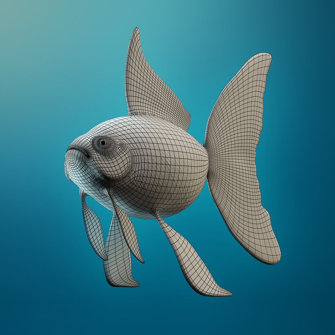 3d Model Fish