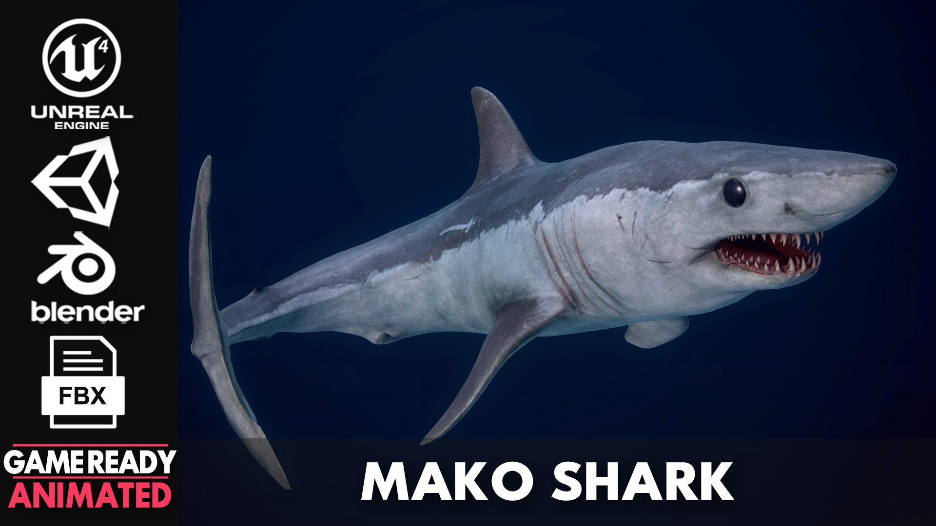 3D Mako Shark - TurboSquid 1840082