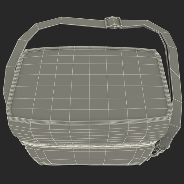 3d lunch bag model
