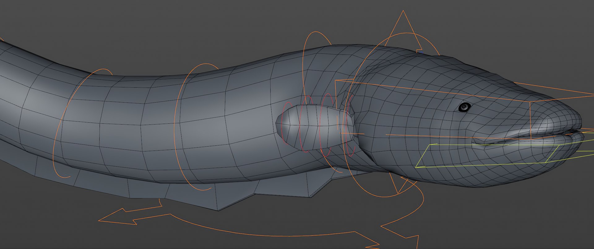 3D - Rig - TurboSquid 1601984