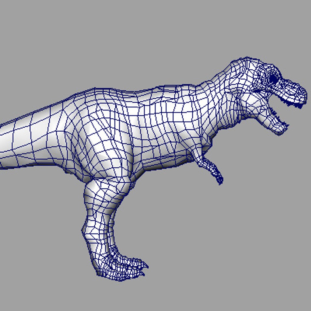Rex 7 3d Model