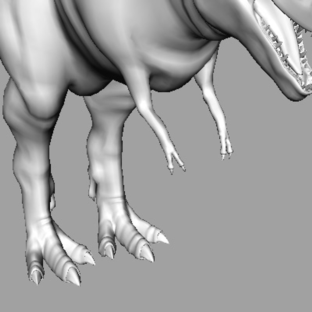Rex 7 3d Model