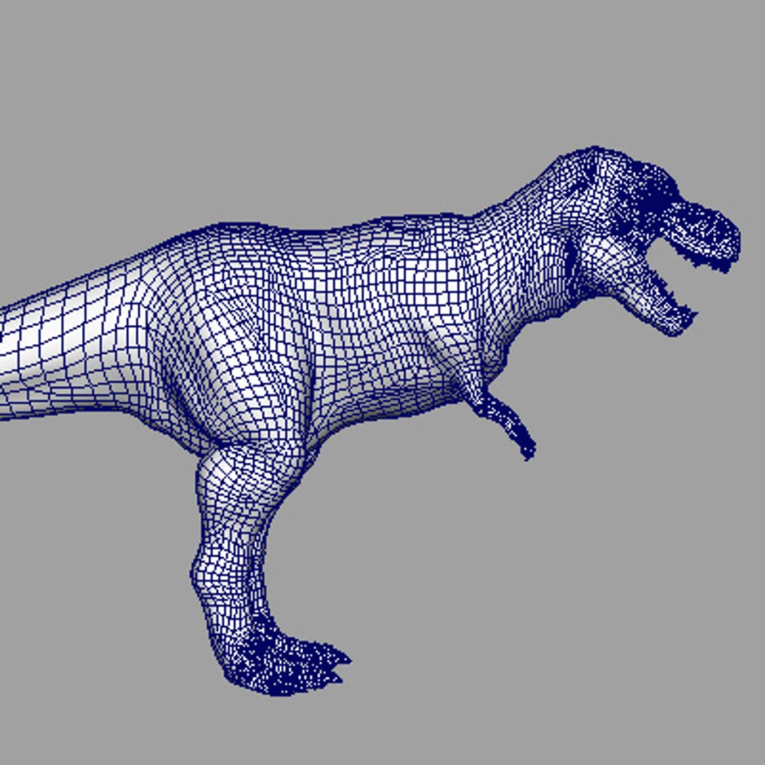 Rex 7 3d Model