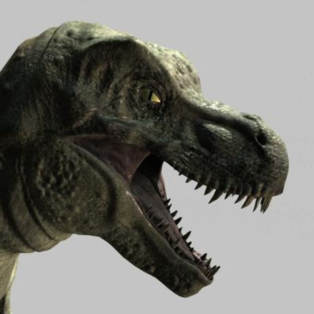 Rex 7 3d Model